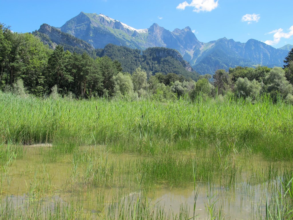 Biotope | Natur und Freizeit | Besuch & Erlebnis | Gemeinde Fläsch